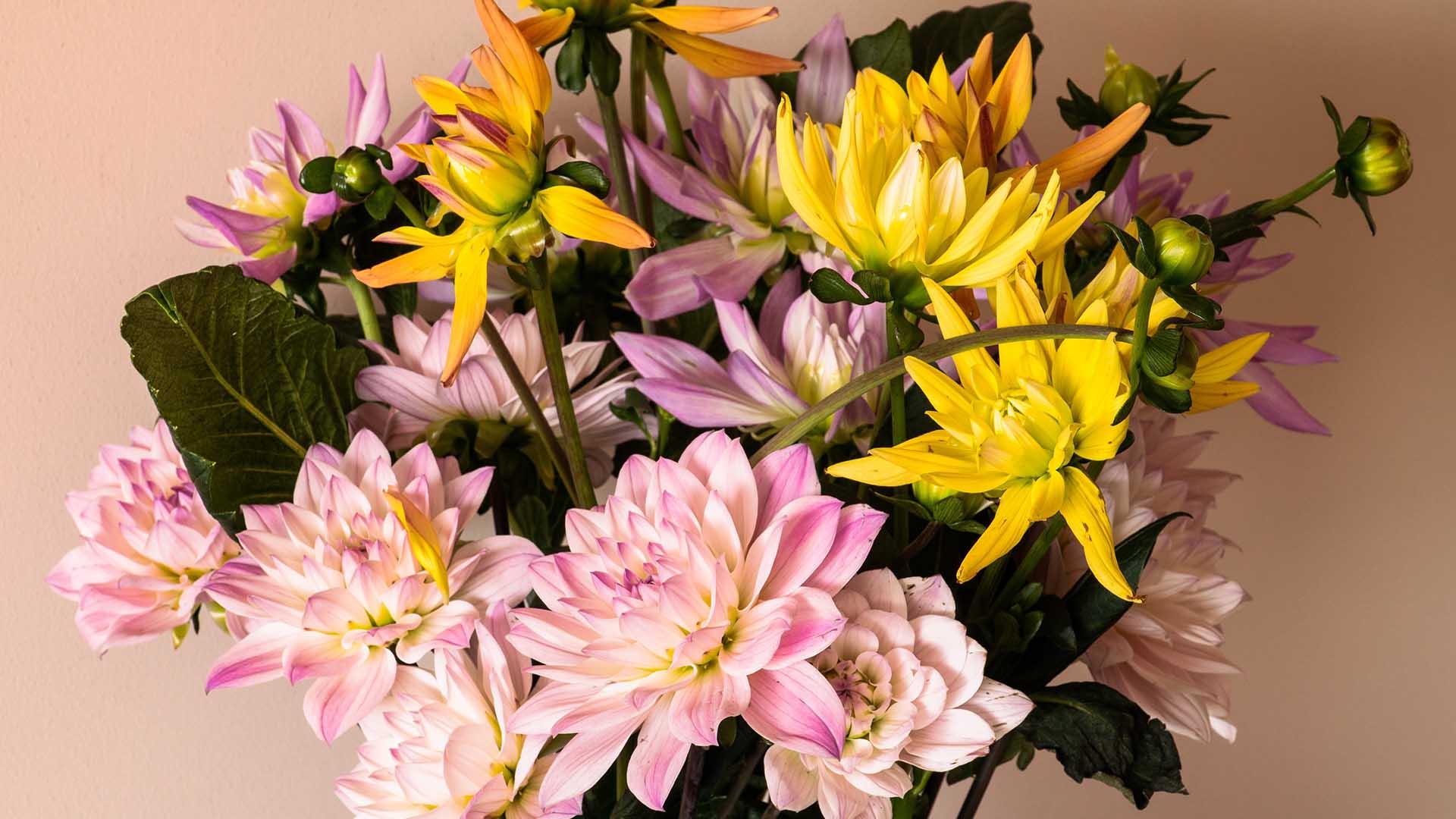 Obituaries | Starks Family Funeral Homes